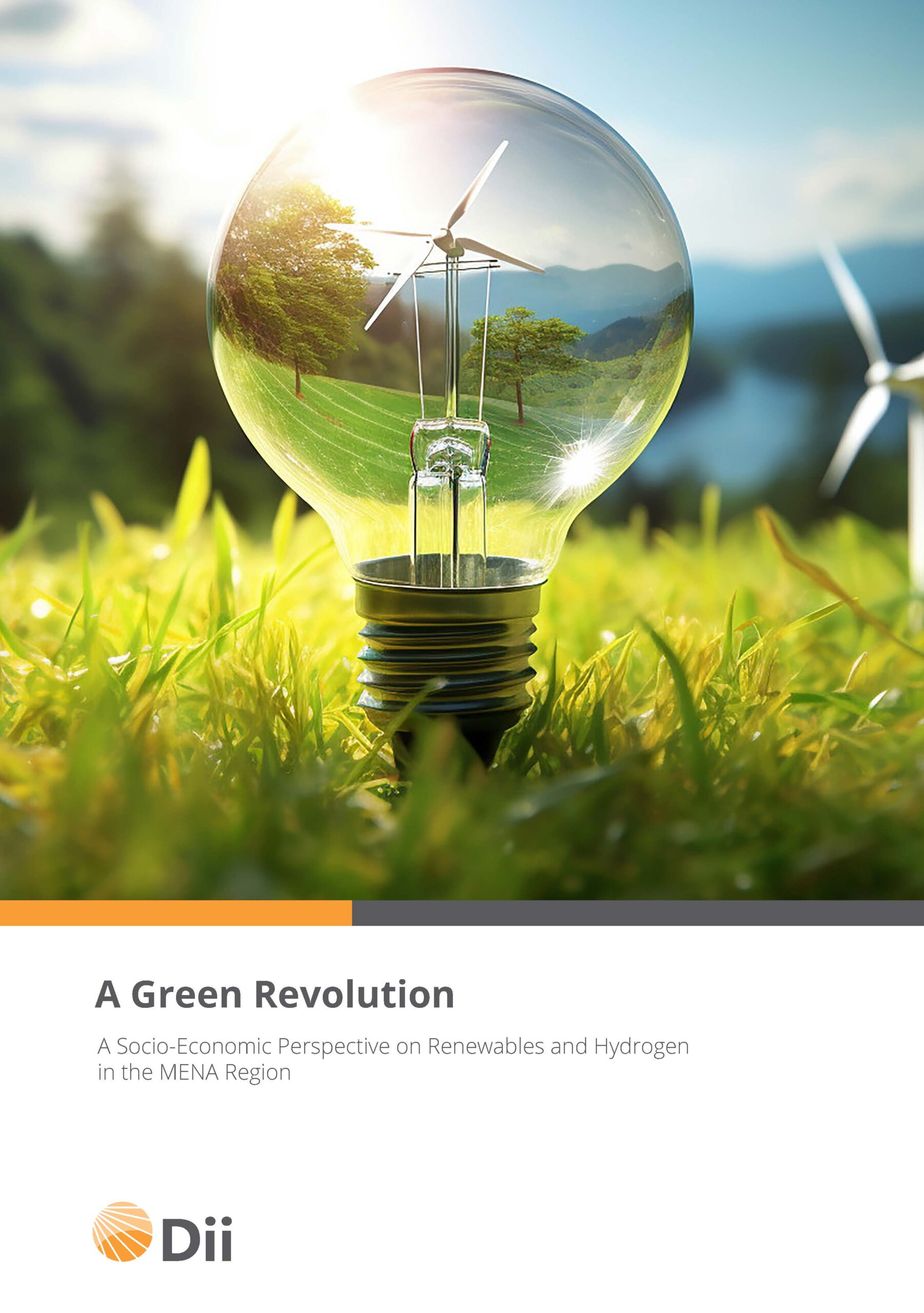 Publications – Dii Desert Energy